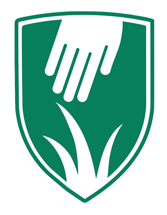 Touch Grass Together - Beating brainrot and breaking the feed.